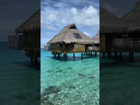 How to book hotels up to 70% off worldwide and save money on travel!