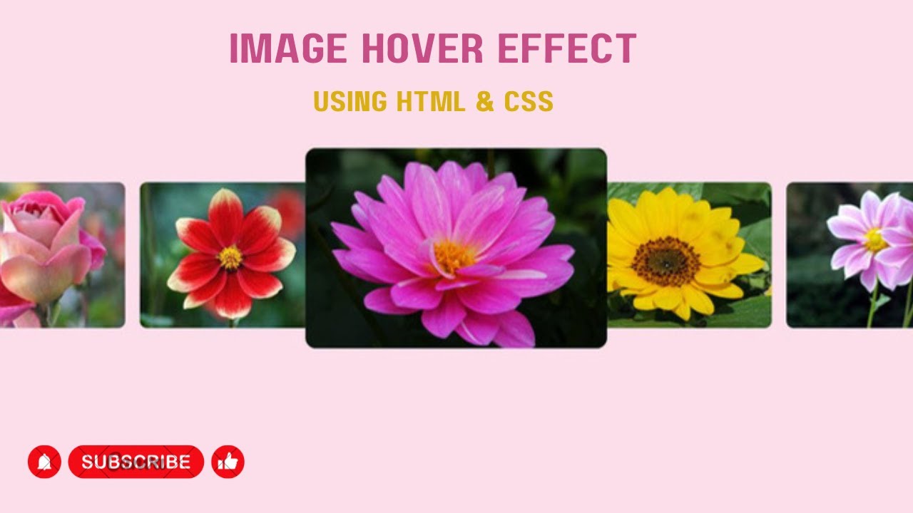 CSS Image Hover Effect | How to zoom image using html & css #youtube #html #css #effects