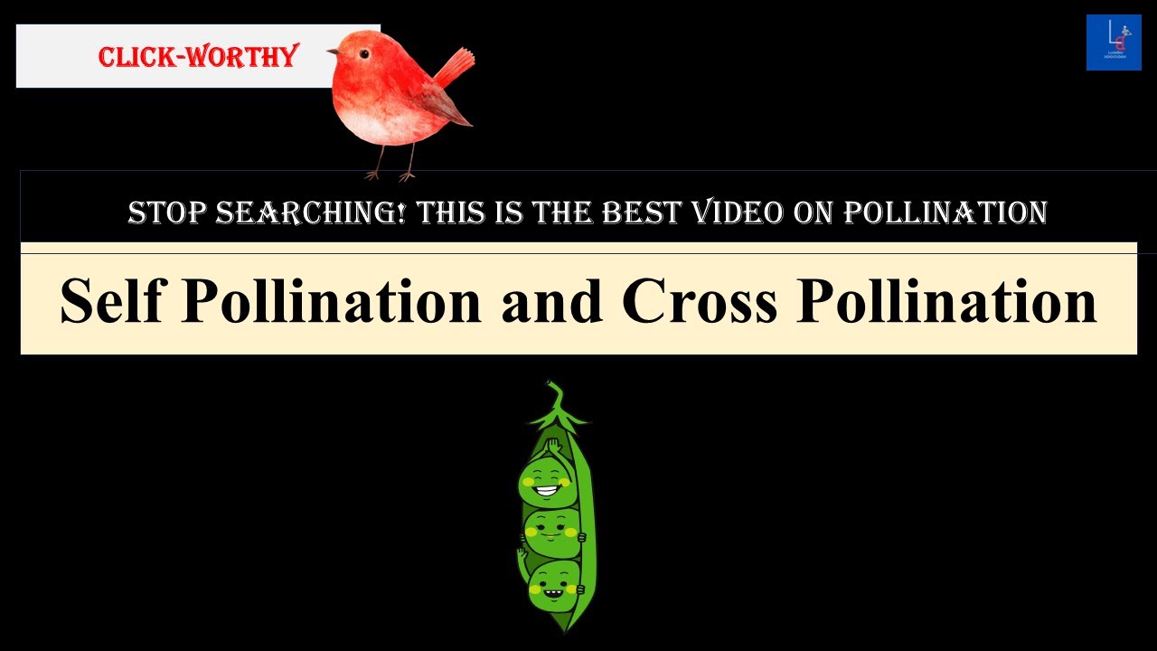 Self Pollination vs Cross Pollination | Complete Comparison. #self #cross #pollinators #video