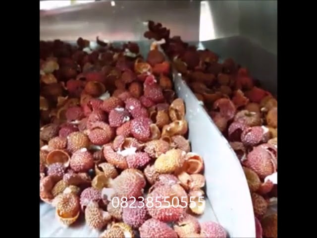 Lychee Peeling Machine - Lychee Peeling Machine 200kg/h Manufacturer ...