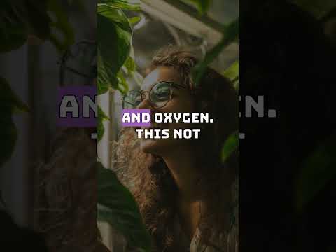 "How Do Plants Make Their Own Food? – The Science of Photosynthesis Explained" #ai