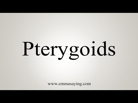 How To Say Pterygoids