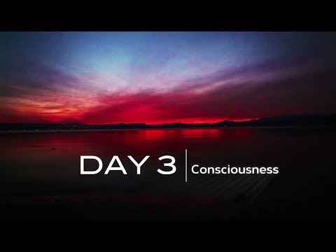 DAY 3: WHAT IS CONSCIOUSNESS? | Ashok Gupta | Meaning of Life Experiment |