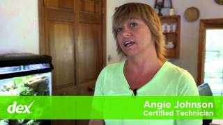 3 Best Pest Control Companies in Elgin, IL - Expert Recommendations