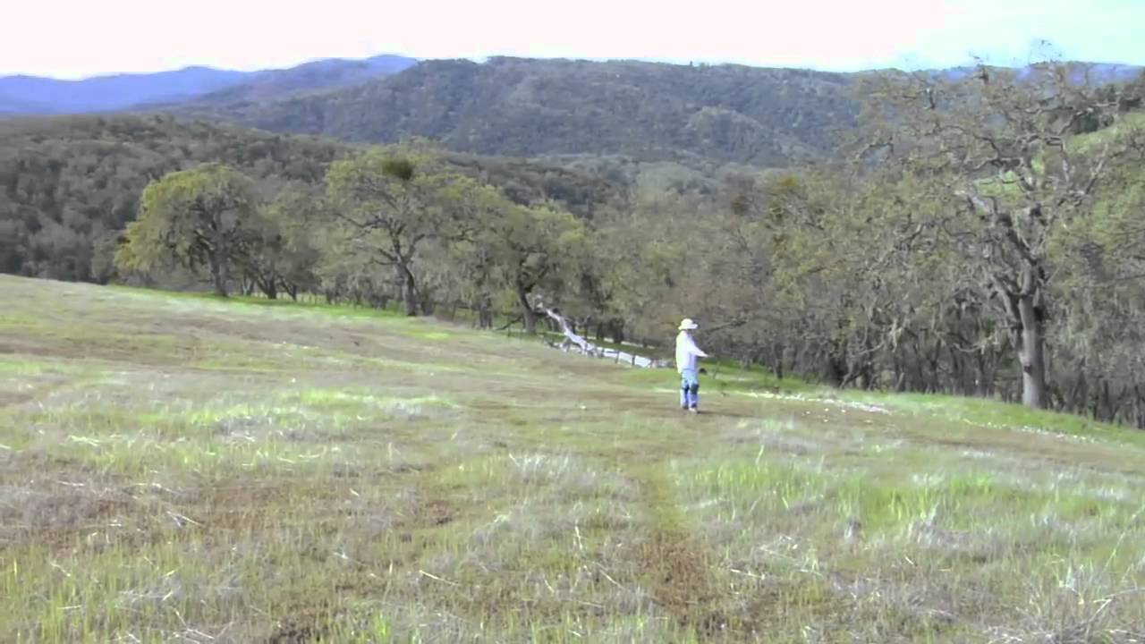 Grassland Changes and Extinction