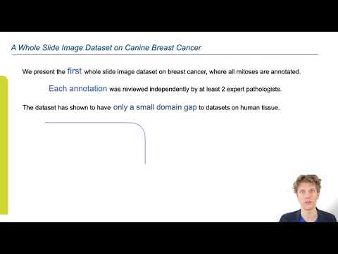 Abstract: A Completely Annotated Whole Slide Image Dataset of Canine Breast Cancer...