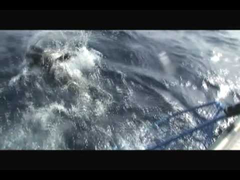 Offshore Fishing in Rockport, Texas
