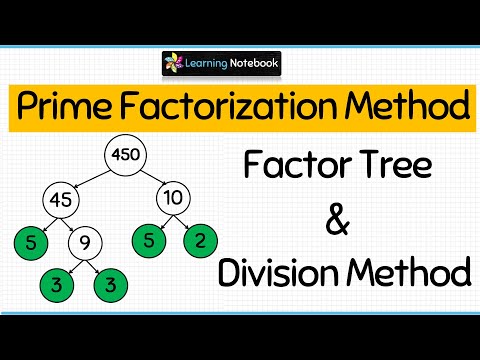 Prime Factorization by factor tree