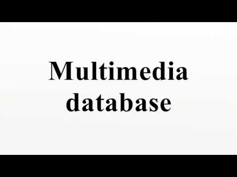 Multimedia database