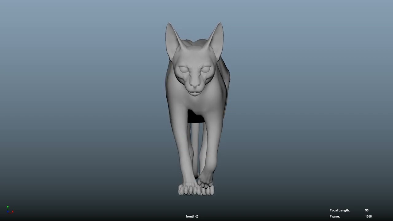 Cat Walk Cycle Front (32f)