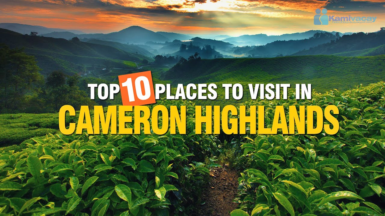 TOP 10 PLACES TO VISIT IN CAMERON HIGHLANDS | TOURIST ATTRACTIONS 🇲🇾 [4K]