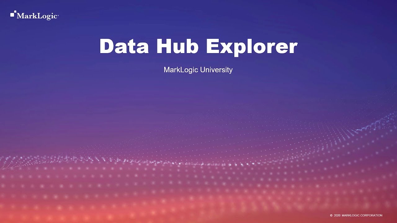Introduction to Data Hub Explorer