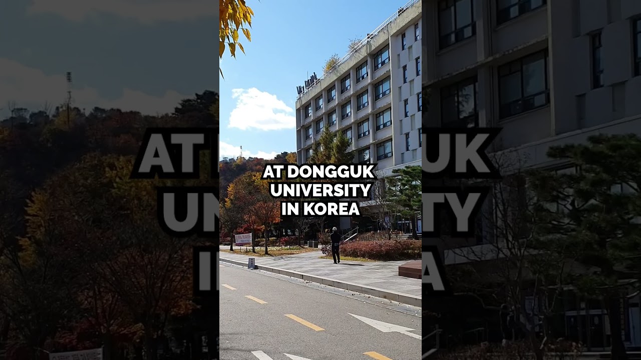 Get 30% off all our Korean online courses using the code BF2023 during checkout!
