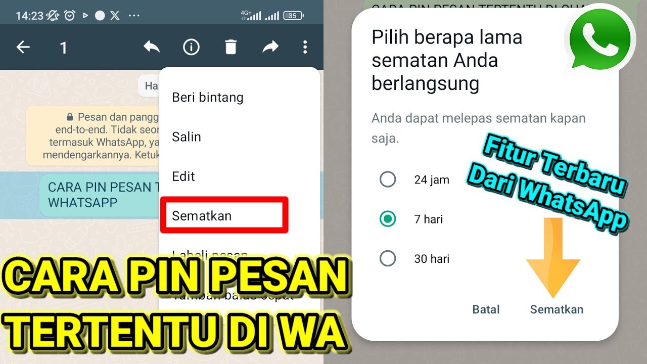 CARA SEMATKAN / PIN PESAN TERTENTU DI CHAT WHATSAPP