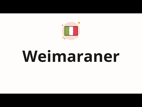 How to pronounce Weimaraner