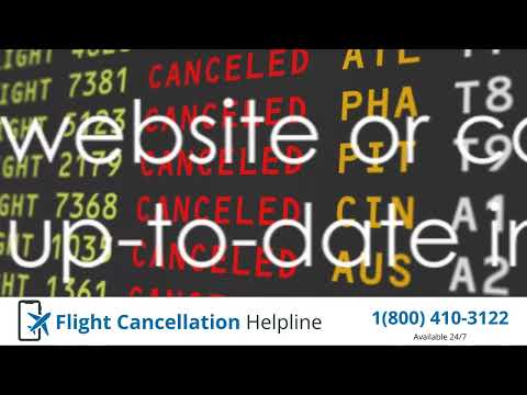 How Do I Cancel A Flight With Vueling