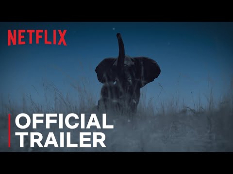 15 Best Nature Documentaries on Netflix in 2022 - Animal Movies