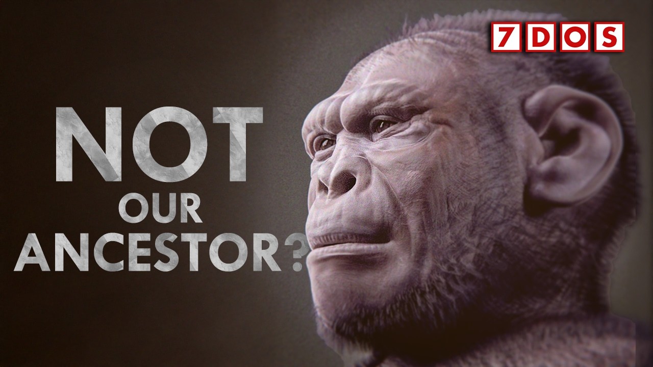 This Discovery Just Rewrote Human Evolution