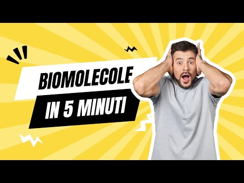 Le Biomolecole In 5 minuti
