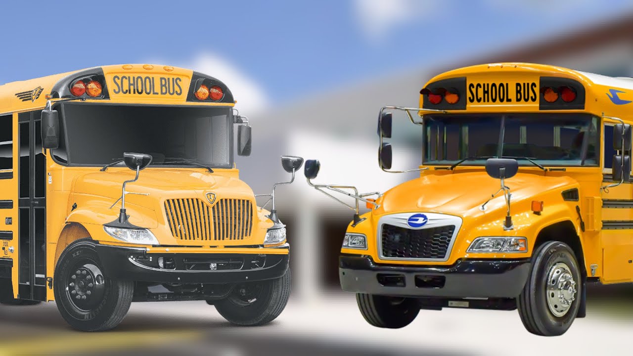 IC BUS vs BLUEBIRD (BATTLE OF THE BUSES!)