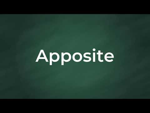 Apposite : Definition, Pronunciation, Examples, Synonyms