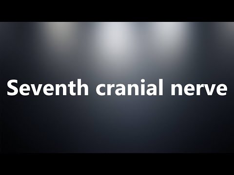 Seventh cranial nerve - Medical Meaning and Pronunciation