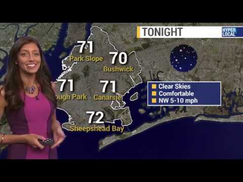 News 12 Brooklyn NY Forecast
