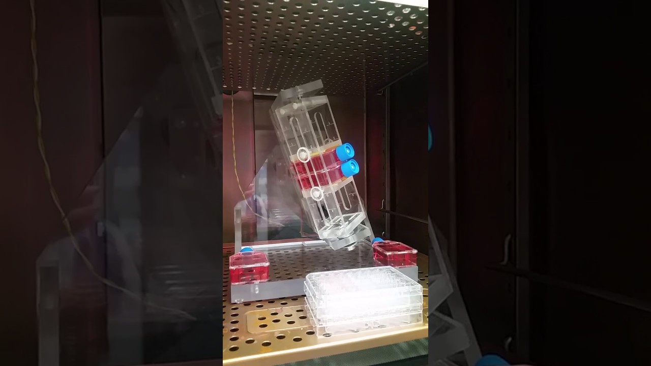 Random Position Machine (RPM)/Microgravity Simulator - Final Gearing