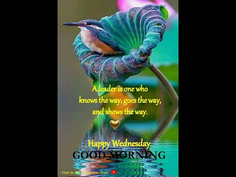 WEDNESDAY QUOTES /GOOD MORNING IMAGES /WHATSAPP STATUS/WHATSAPP DP PHOTOS/BEAUTIFUL IMAGES