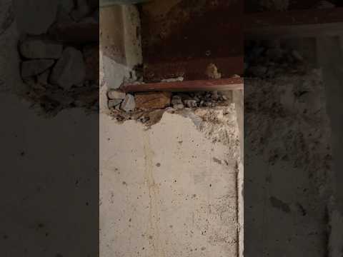 No bearing load bearing support beam