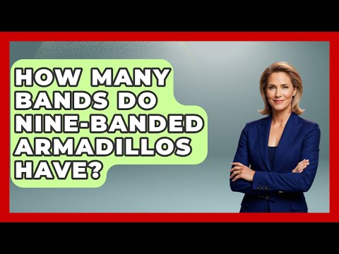 How Many Bands Do Nine-banded Armadillos Have? - The Wild Life Explorer