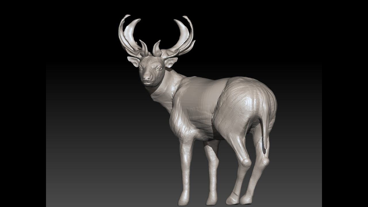 30 Minutes Zbrush Sculpting 110 Deer