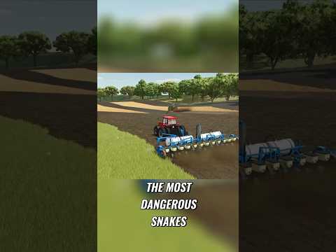 Why you Just Need to HAVE FUN in Farming Simulator 25