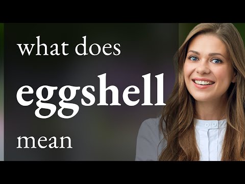 Eggshell — definition of EGGSHELL