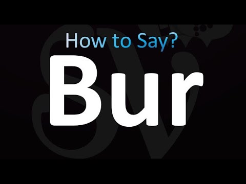 How to Pronounce Bur (Correctly!)