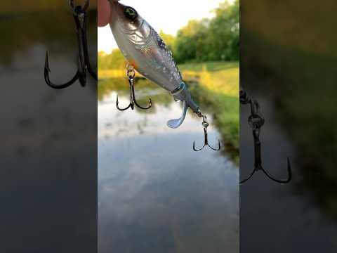 Whopper plopper (Patroller 90) lure review!! What will we catch!!?? #bassfishing #sportfishing