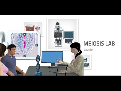 Labster Virtual Lab: Meiosis Simulation