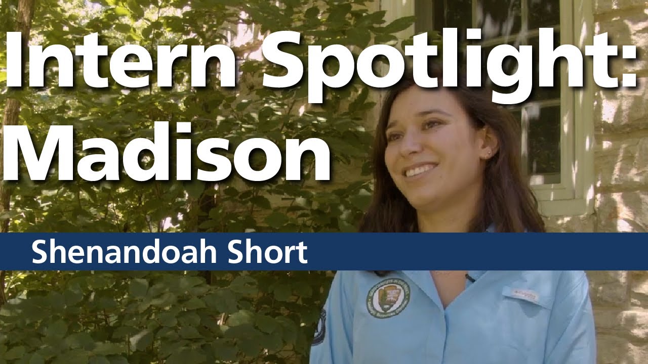 Intern Spotlight: Madison Heiser