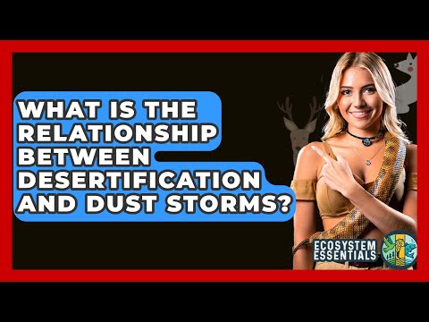 What Is The Relationship Between Desertification And Dust Storms? - Ecosystem Essentials