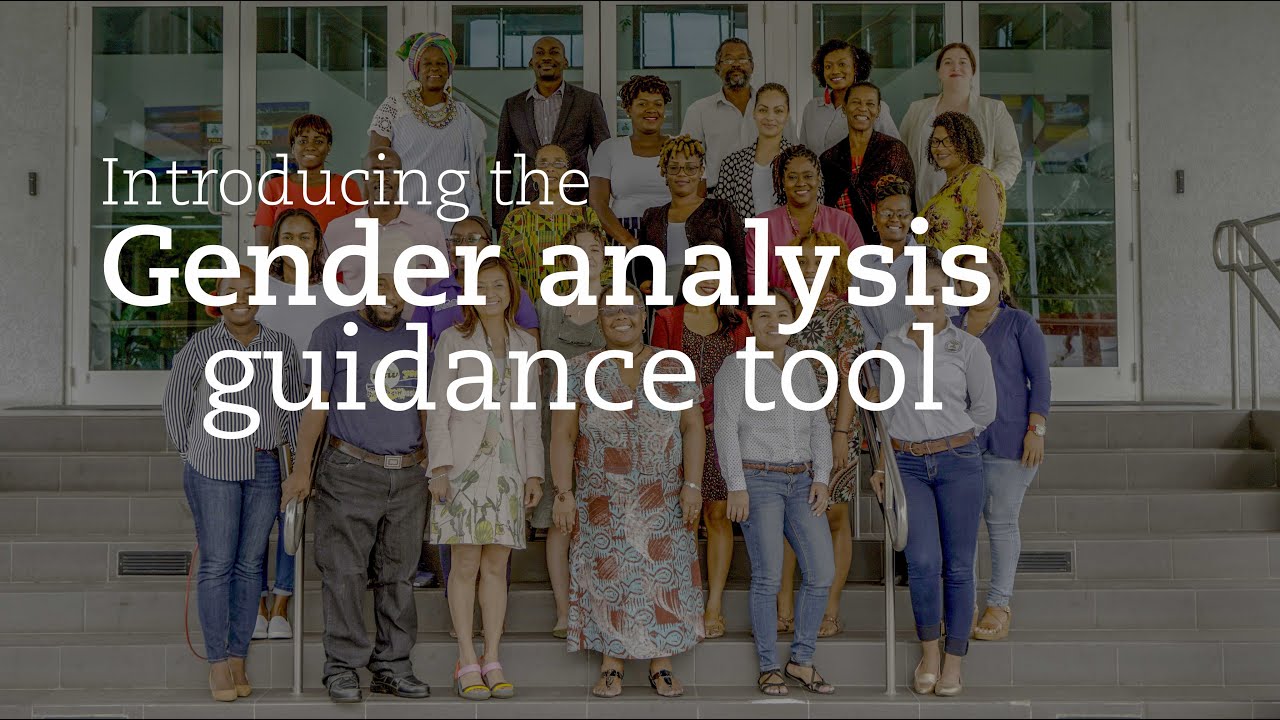 Introducing the gender analysis guidance tool