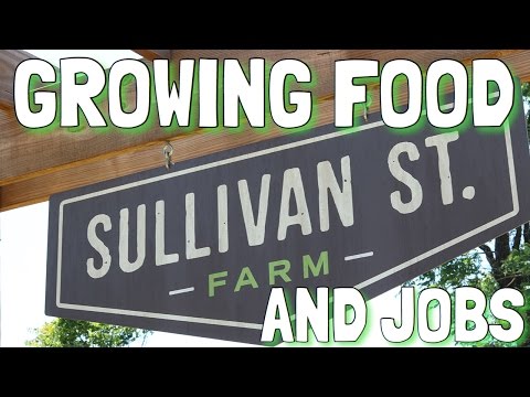 Profile | Mill Village Farms Backyard Gardening Workshop