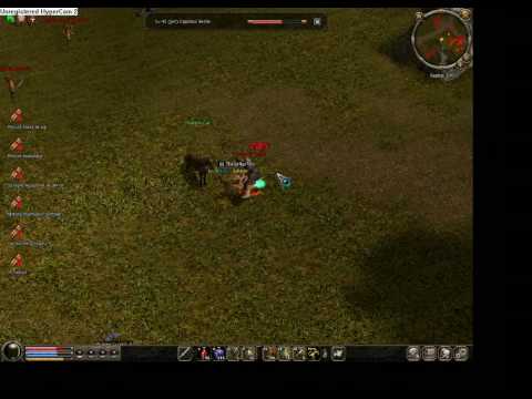 Metin2 RO capitanul bestie vs. Gallardo