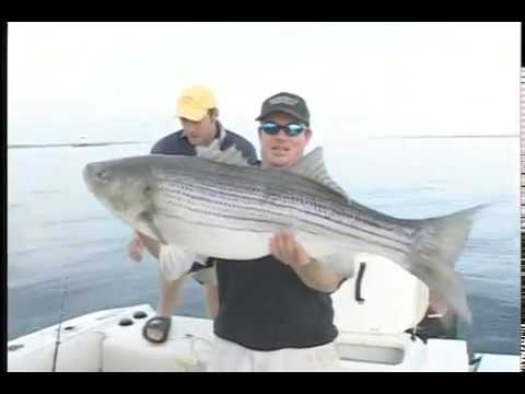 OTW Classic: Fishing Hickory Shad for Giant Stripers (2005)
