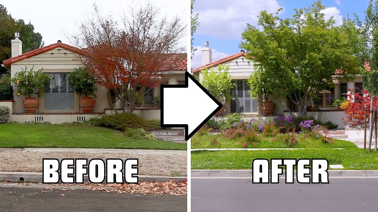 We Created a Xeriscape Garden That Can Withstand Any Drought (3 Year Update)