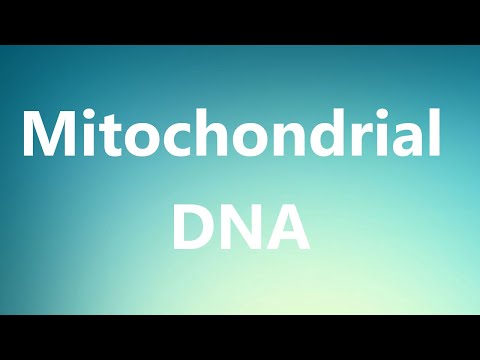 Mitochondrial DNA - Medical Meaning and Pronunciation