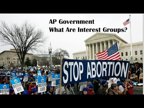 What Are Interest Groups?: AP Government