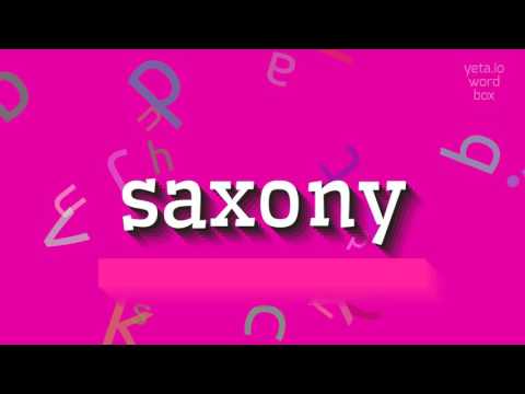 How to say "saxony"! (High Quality Voices)