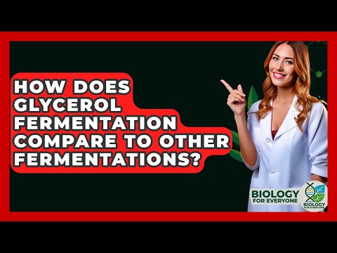How Does Glycerol Fermentation Compare To Other Fermentations? - Biology For Everyone