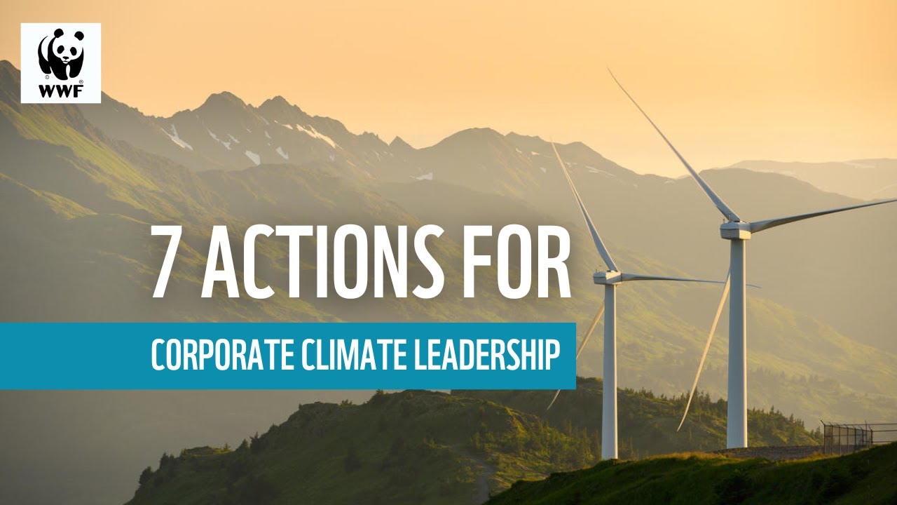 What does corporate climate leadership look like
