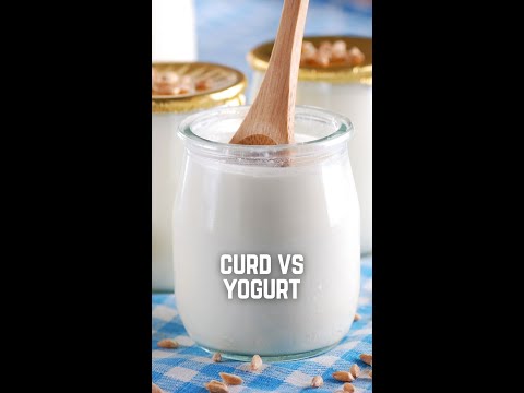 What's the Difference between Curd and Yogurt? A Food Show with Kunal Kapur | #Dahi #Shorts #Yogurt